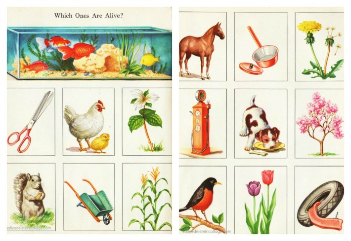 A Post-War Primer on Mother Nature | Envisioning The American Dream