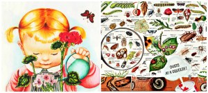 A Post-War Primer on Mother Nature | Envisioning The American Dream