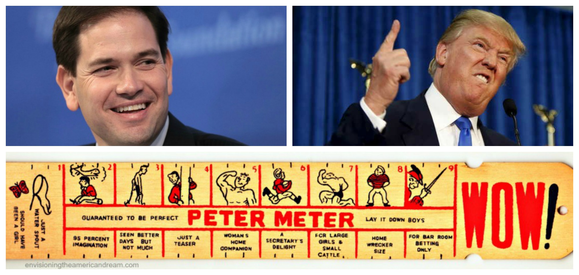 Political Peter Meter | Envisioning The American Dream