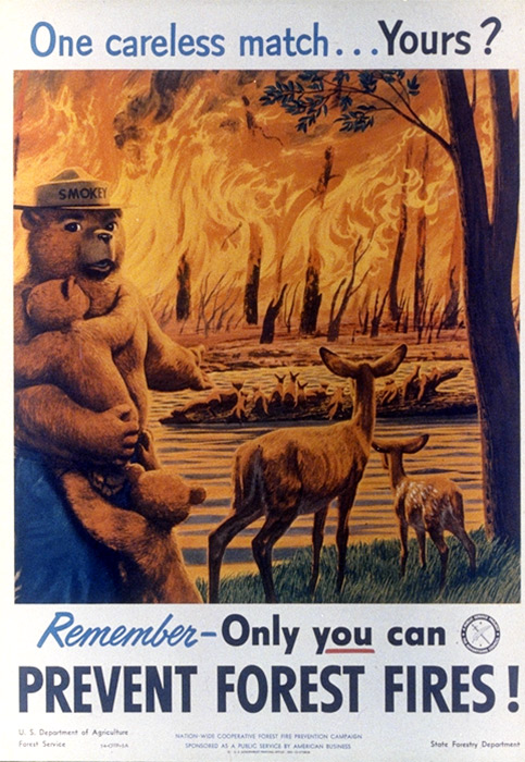 Only You Can Prevent Forest Fires | Envisioning The American Dream
