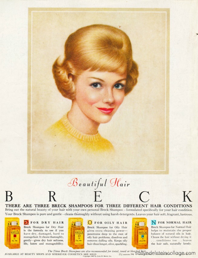 Trump- A Wanna Be Breck Girl | Envisioning The American Dream