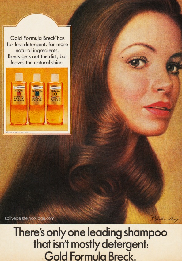 Trump- A Wanna Be Breck Girl | Envisioning The American Dream