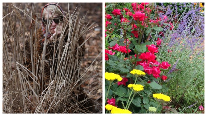 Red Sally Edie Fallow | Envisioning The American Dream