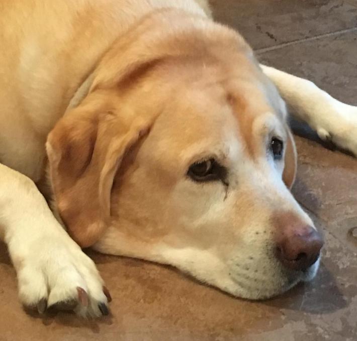 stan side eye look | Envisioning The American Dream