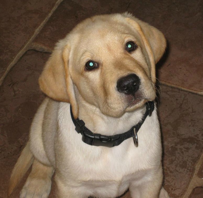 Stanley’s Story | Envisioning The American Dream